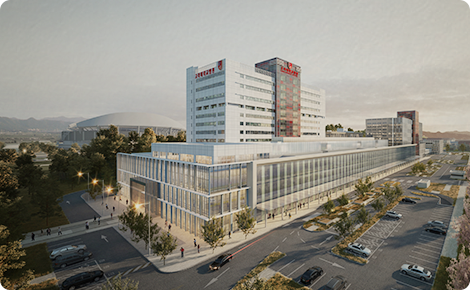 고려대학교 의료원